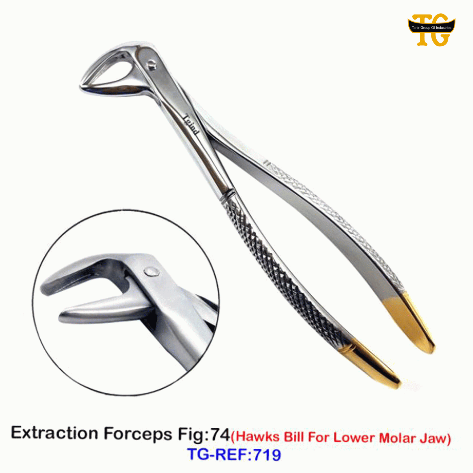 Extraction Forcep-TG-REF-0719 - Tahir Group Of Industries