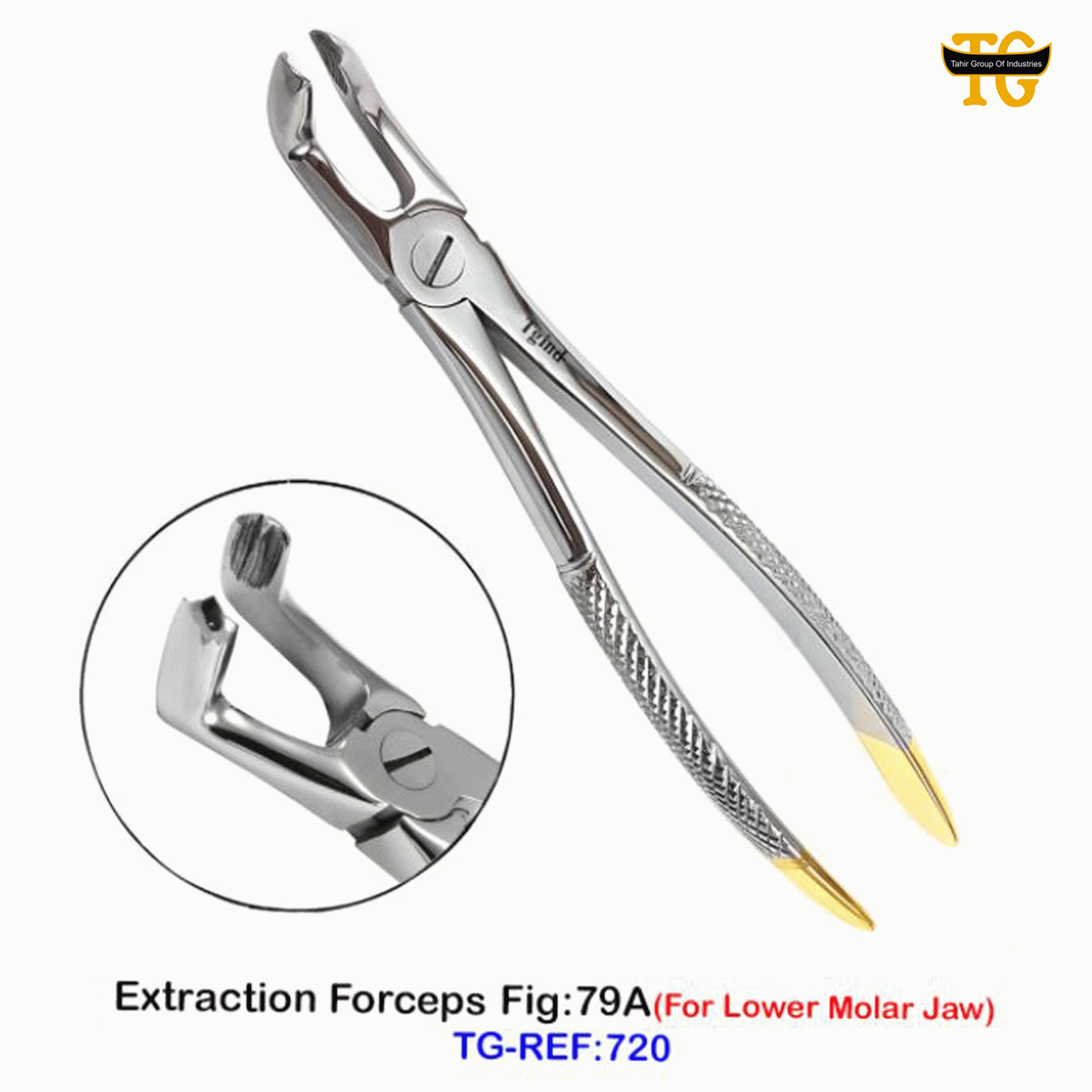 Extraction Forcep - Tahir Group Of Industries